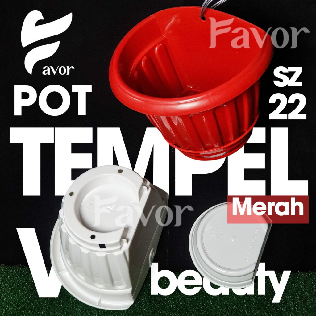Jual Pot Tempel Dinding VW Beauty 22 GBL MERAH BATA Tanaman Hias ...