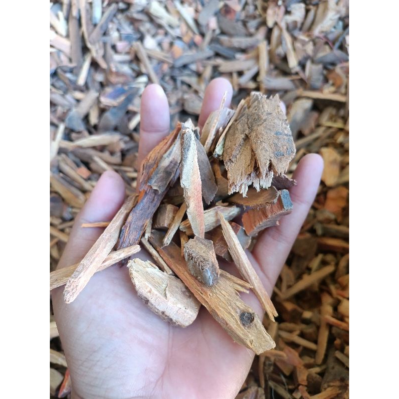 Jual Buhur kayu raja gaharu agathis great kacangan kemasan 1kg | Shopee ...