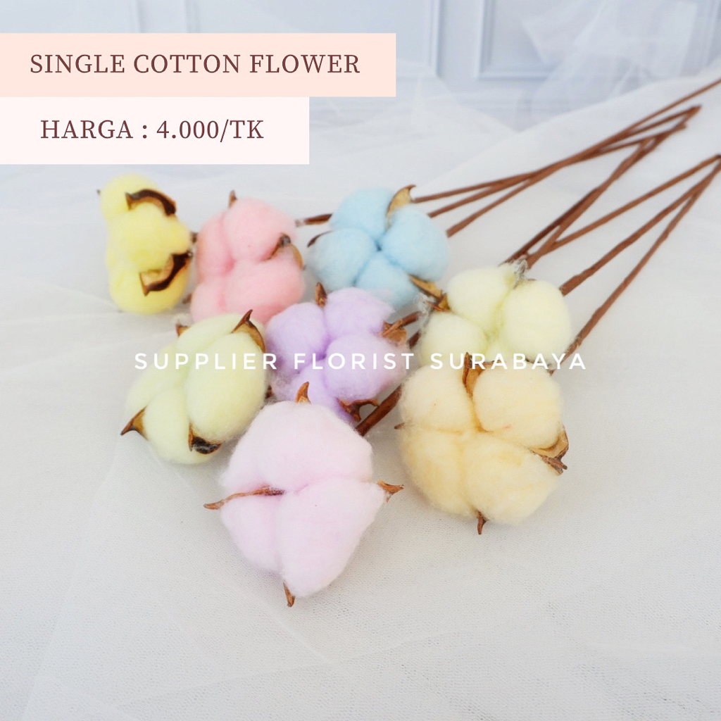 Jual ECER COTTON FLOWER DENGAN TANGKAI SINGLE STALK COTTON FLOWER SATU ...
