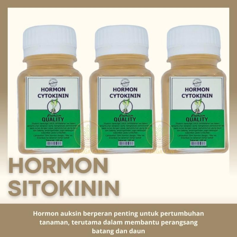 Jual Hormon cytokinin hormon sitikonin supaya daun dan bunga tidah ...