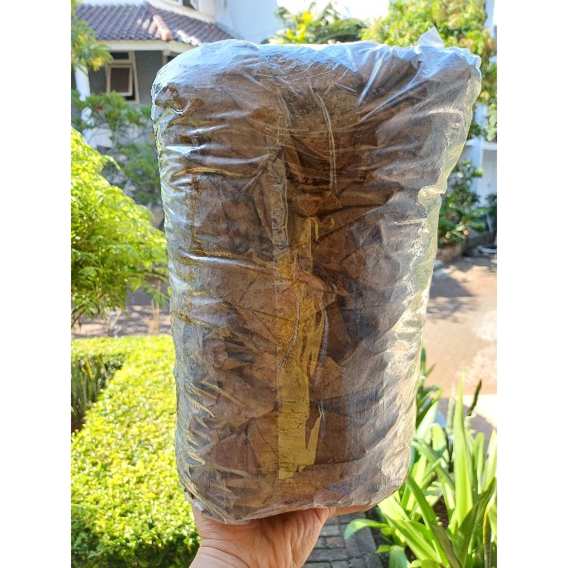 Jual Ketapang Olahan untuk Ikan Cupang 1 Kilogram | Shopee Indonesia