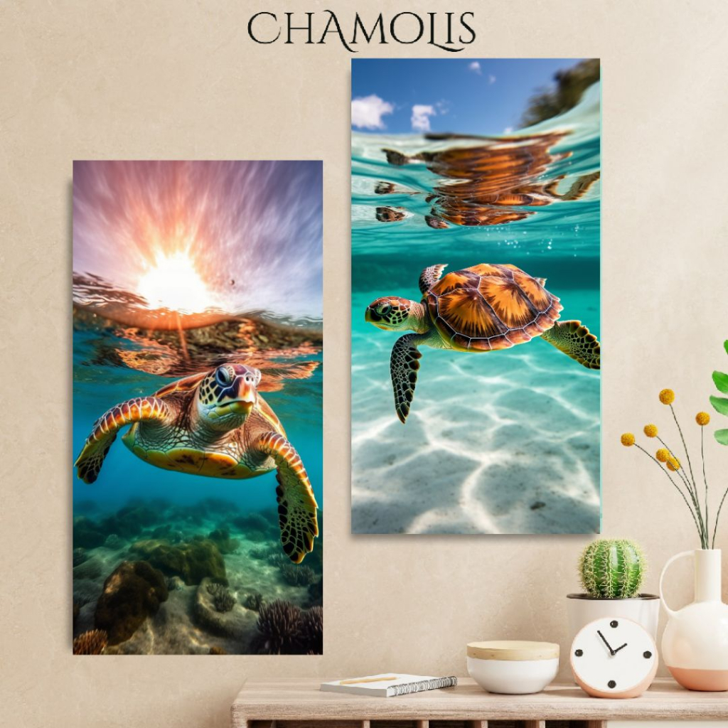 Jual Hiasan Dinding poster kura Penyu walldecor rumah minimalis ...