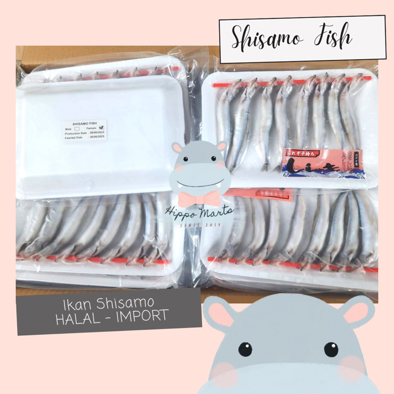 Jual Shisamo Fish / Ikan Sishamo / ikan Capelin Import Premium Quality ...