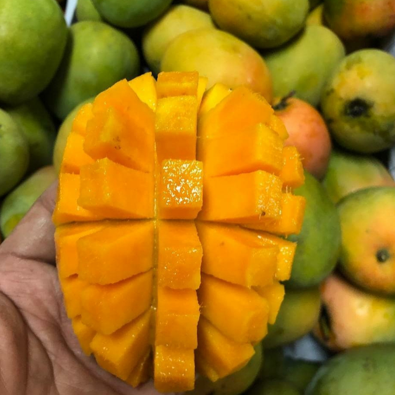 Jual mangga harumanis super | Shopee Indonesia