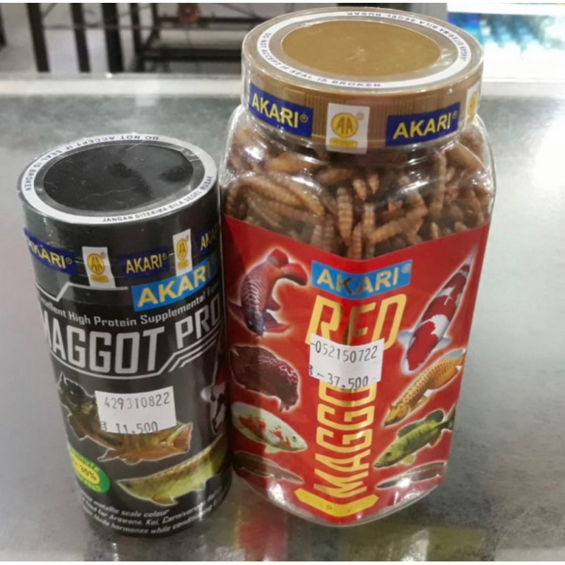 Jual maggot akari pro maggot akari red botol toples | Shopee Indonesia