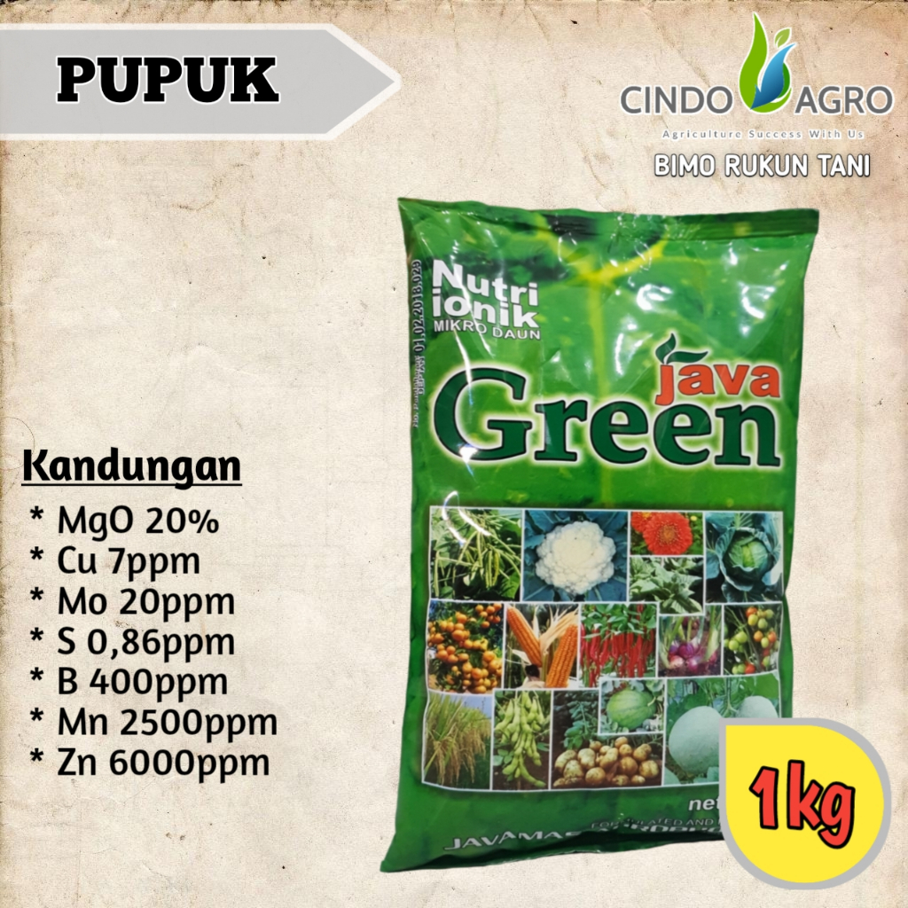 Jual JAVA GREEN - 1kg | Shopee Indonesia
