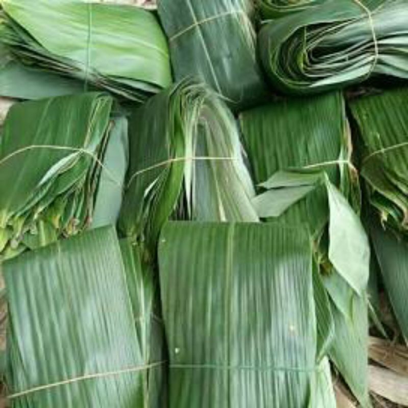 Jual daun bambu 100 lembar daun bambu free bungkus bacang | Shopee ...