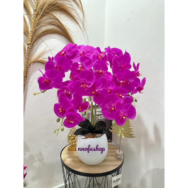 Jual Bunga anggrek cabang 5 super rimbun dengan vas bola | Shopee Indonesia