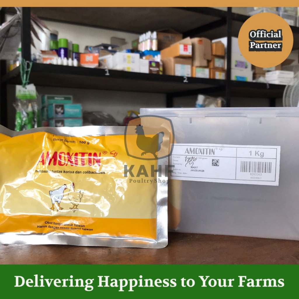 Jual Amoxitin 100 gram 1 Pack 1 kg isi 10 sachet - Obat Korisa dan Coli ...