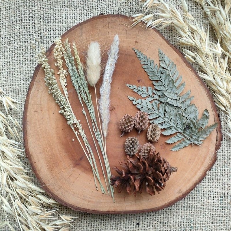 Jual PAKET BUNGA KERING SUPER IRIT bahan mahar rustic dekorasi rustic ...