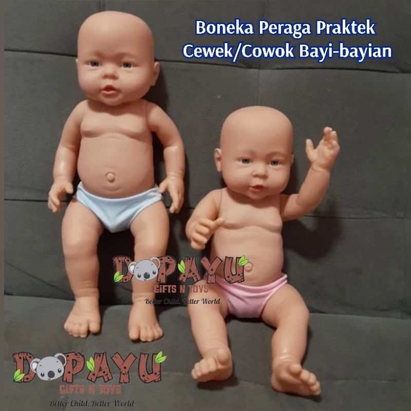 Jual Boneka Edukasi Alat Peraga Praktek New Born Phantom Anak-anakan ...