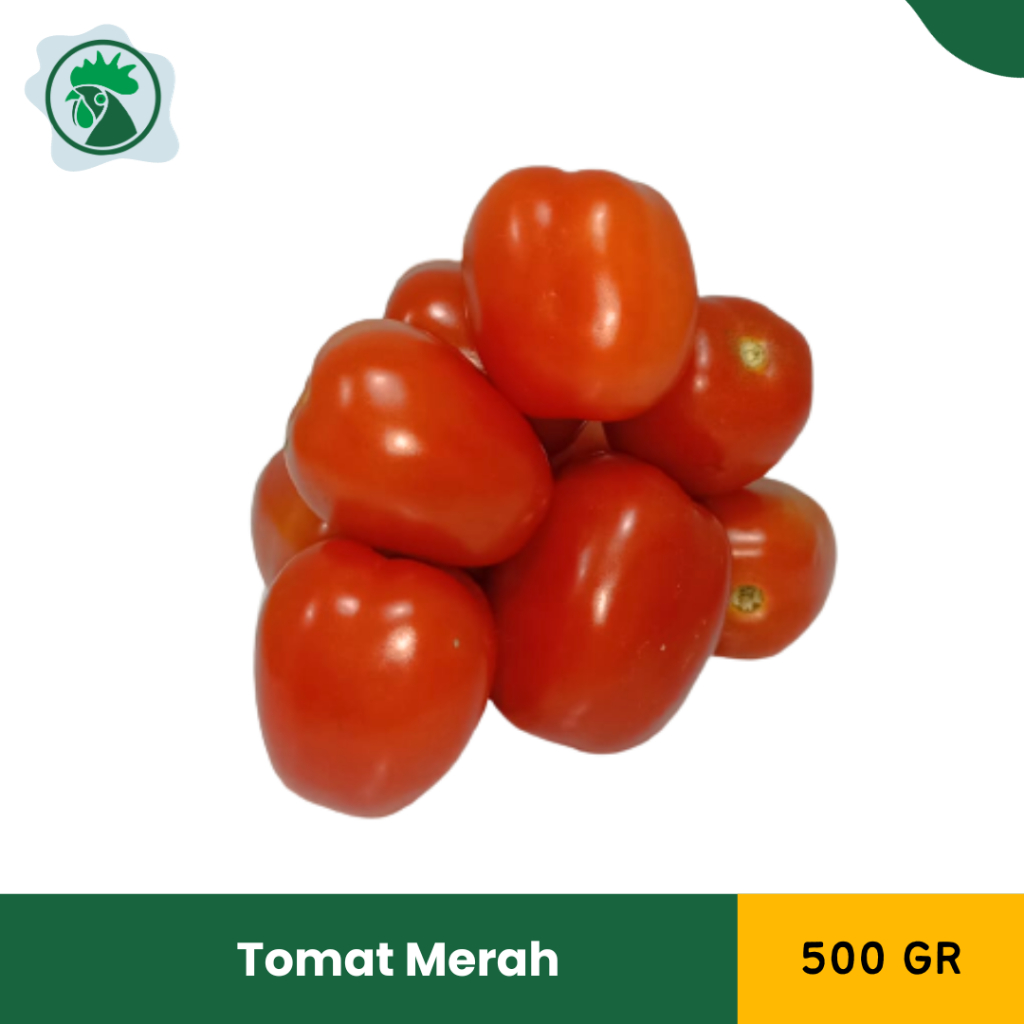 Jual Tomat Merah Segar 500gr | Tomat Gunung | Shopee Indonesia