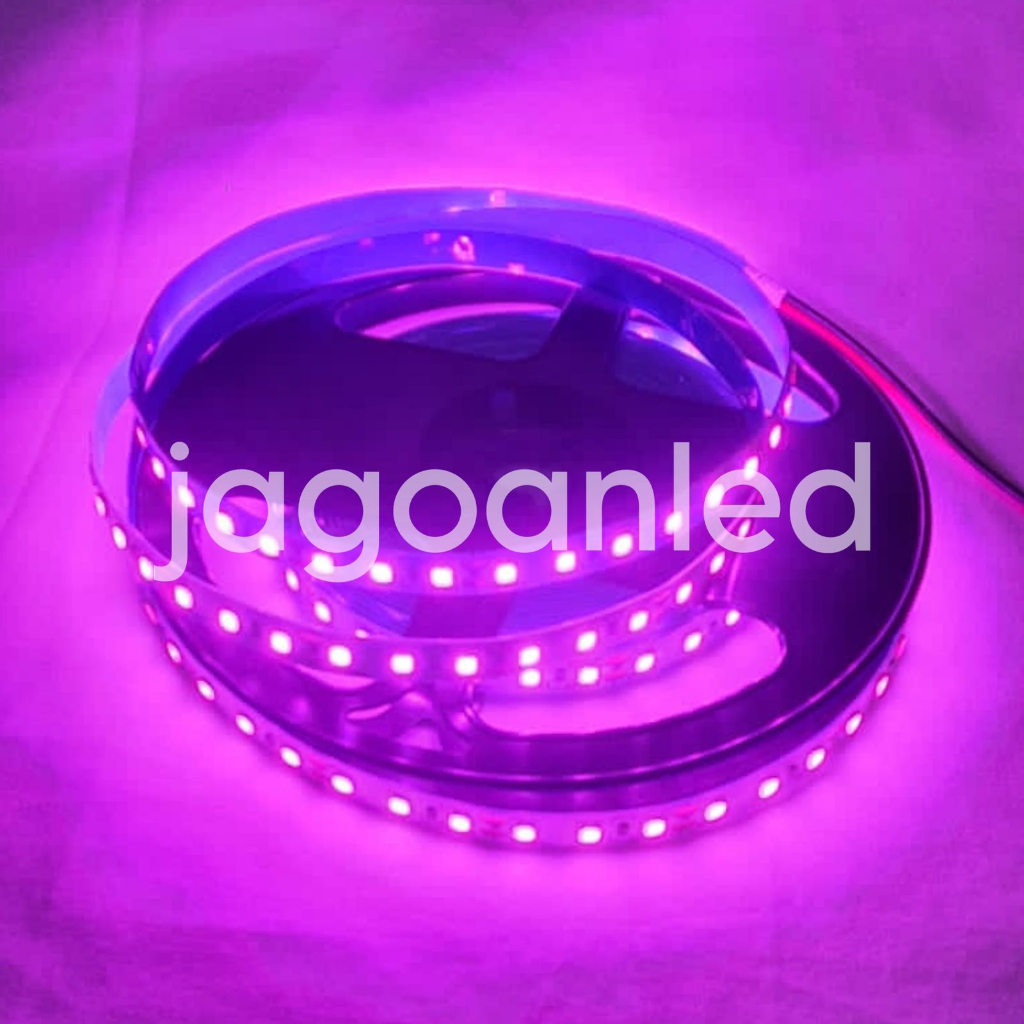 Jual Lampu LED Strip 2835 120 LED 120 Mata Lampu IP33 12V | Shopee ...