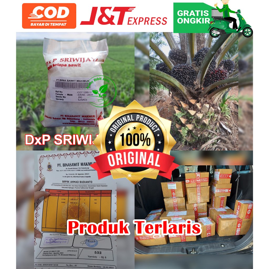 Jual DxP SRIWIJAYA SJ5 UNGGUL DAPAT SERTIFIKAT | Shopee Indonesia