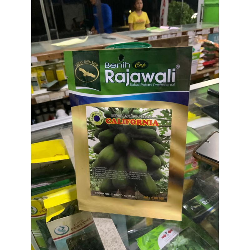 Jual Benih/Bibit pepaya california Cap Rajawali | Shopee Indonesia