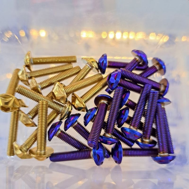 Jual BAUT PROBOLT TYPE STAR M5 X 2.5 BAUT DRAT 8 PANJANG 2,5 CM (1pcs ...