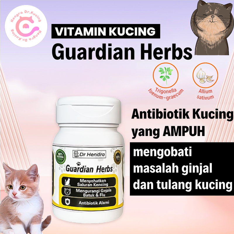 Jual Vitamin Kucing Anti Biotik Alami Kucing Vitamin Tulang Kucing ...