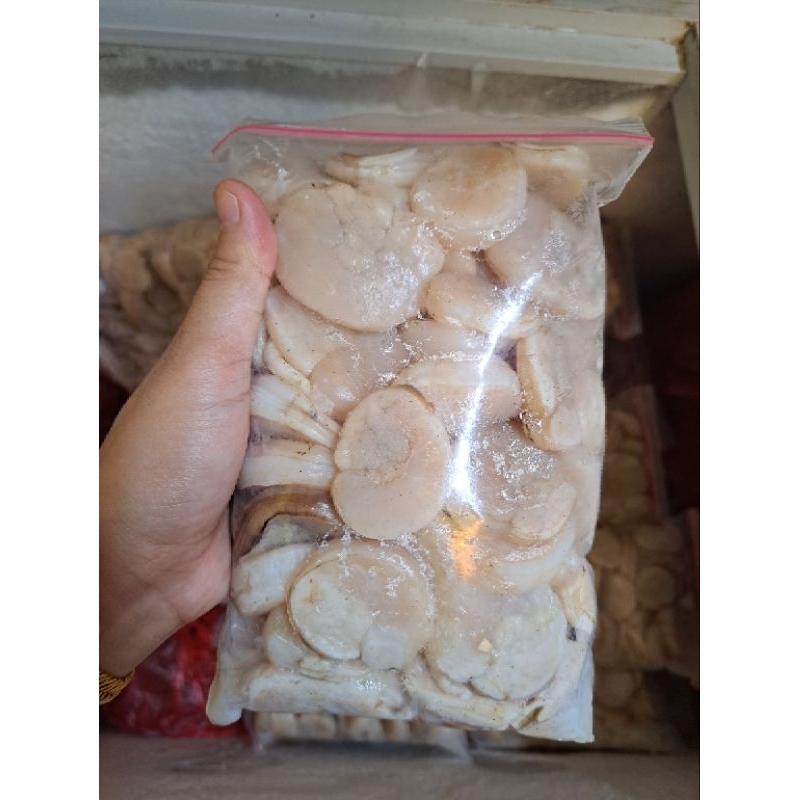 Jual SCALLOP/DAGING KAMPAK FRESH FOIZEN 1kg | Shopee Indonesia