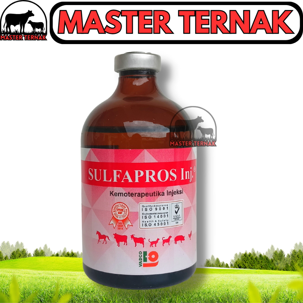 Jual SULFAPROS INJ 100 ml - Obat Infeksi Pernafasan Pencernaan MIRIP ... Jual SULFAPROS INJ 100 ml - Obat Infeksi Pernafasan Pencernaan MIRIP ...