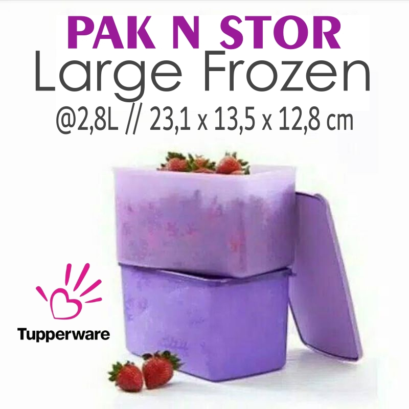 Jual TUPPERWARE LARGE FROZEN 2PC X 2,8L PAK N STOR Ungu Wadah Tupperware | Shopee Indonesia