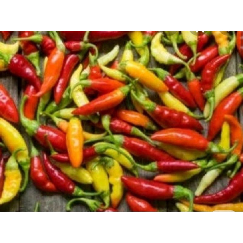 Jual Cabe Cabai Lombok Rawit Sayur Segar | Shopee Indonesia