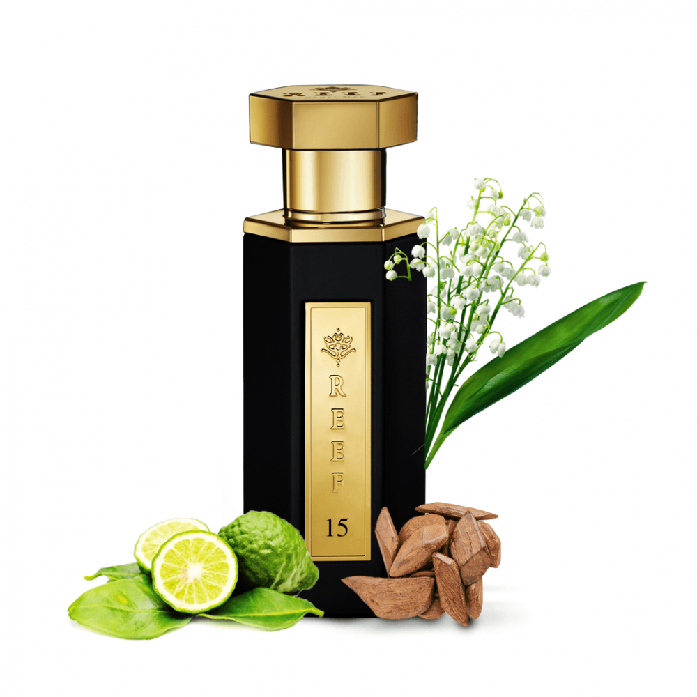 Jual REEF PERFUME KSA 15 21 31 33 39 100 ML PARFUM REEF ARAB | Shopee ...