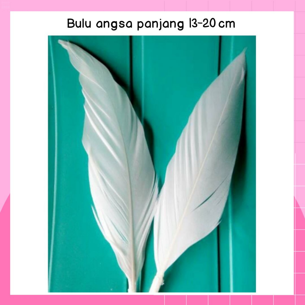 Jual BULU ANGSA PANJANG 13-20 CM WARNA PUTIH - JUAL BULU ANGSA BEBEK ...
