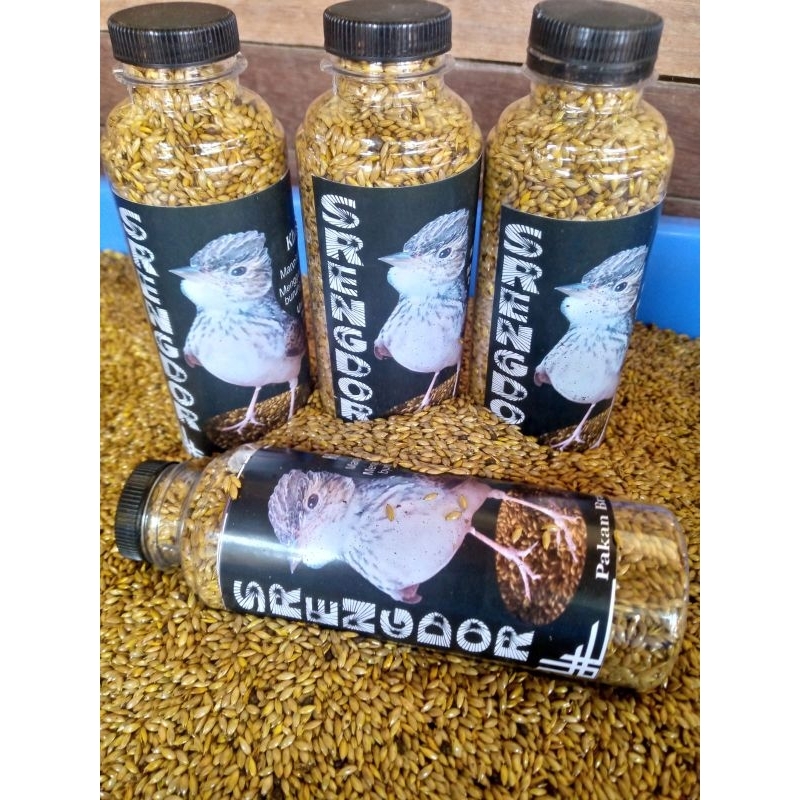 Jual [TOP] PAKAN BRANJANGAN SRENGDOR - Cocok untuk burung macet dan ...