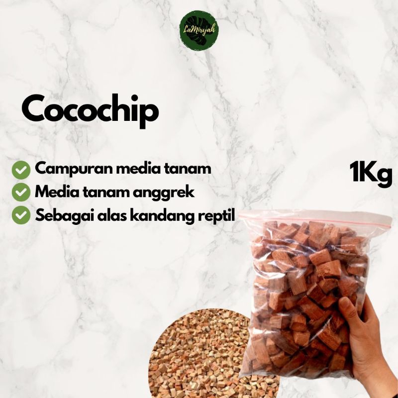 Jual [1Kg] Substrat Cocochip Tanpa Kulit Media Tanam Anggrek Coco Husk ...