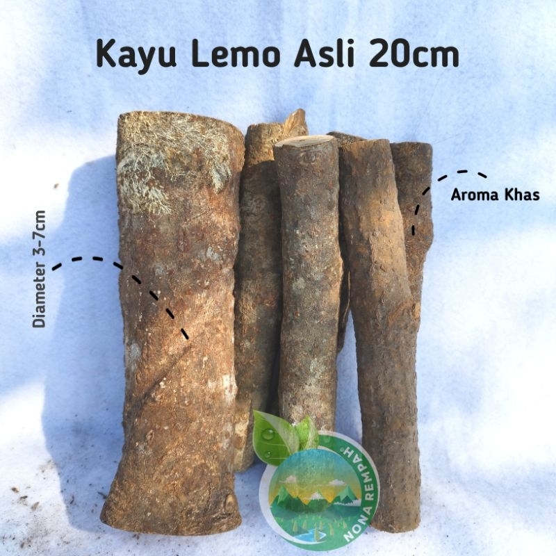 Jual Kayu Lemo Asli Gunung Karang Penangkal Ular & Hewan Berbisa ...