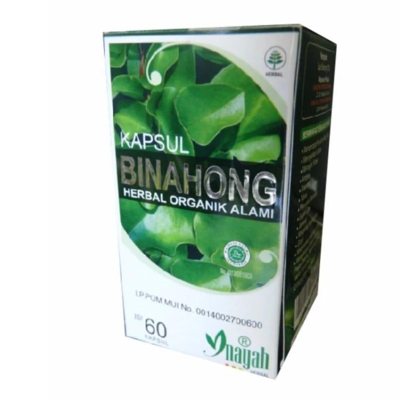 Jual Kapsul Daun Binahong Inayah Herbal BPOM isi 60 | Shopee Indonesia