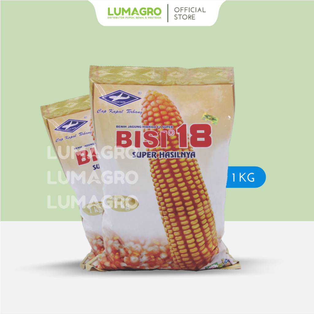 Jual Benih Jagung Hibrida Bisi 18 1kg Bibit Unggul Tahan Bulai Tongkol ...