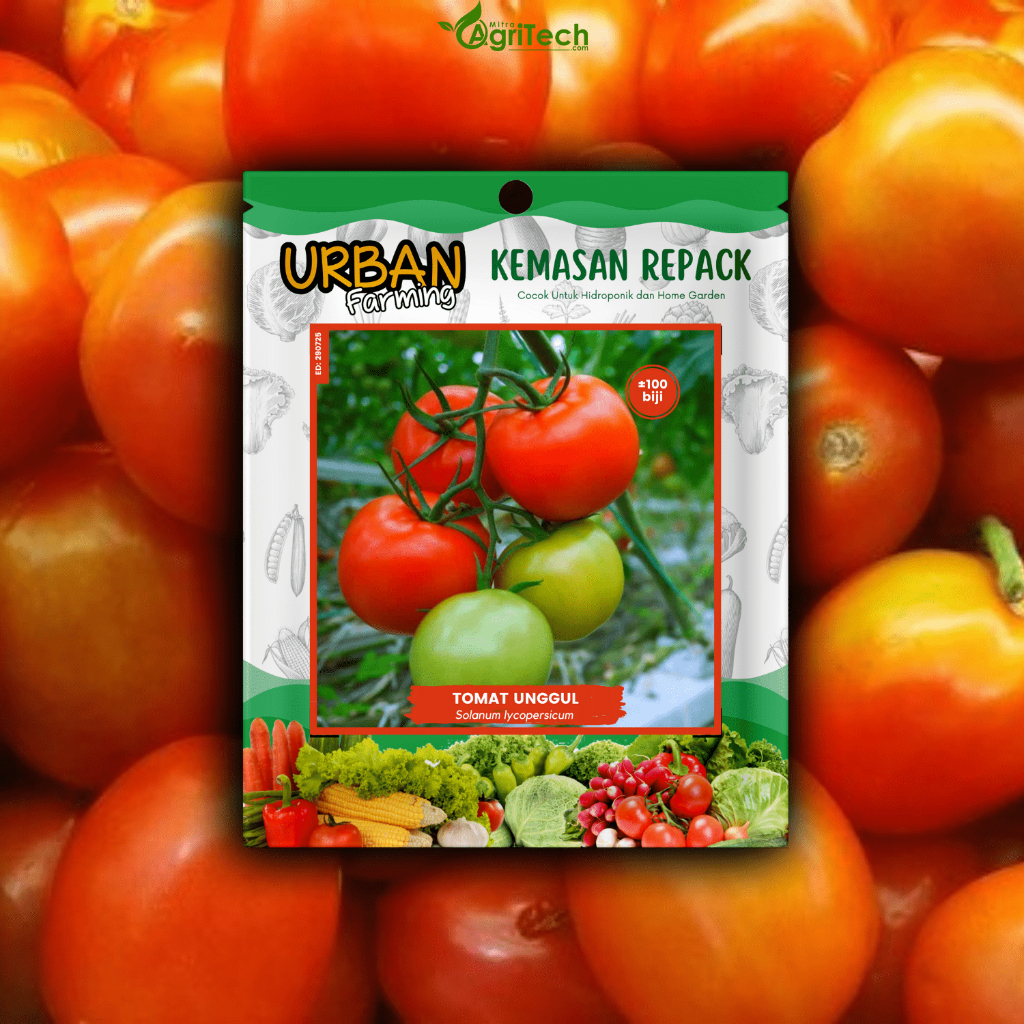 Jual BENIH BIBIT TOMAT SAYUR UNGGUL BULAT ISI 100 BIJI BENIH KEMASAN ...