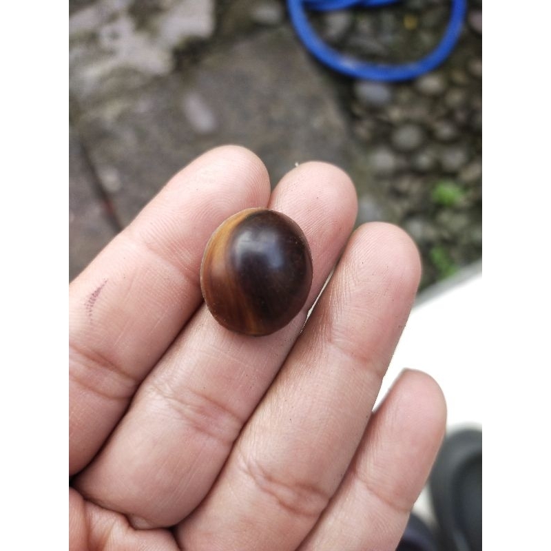 Jual Permata kayu surya candra yin yang alami.serat seperti rambut ...