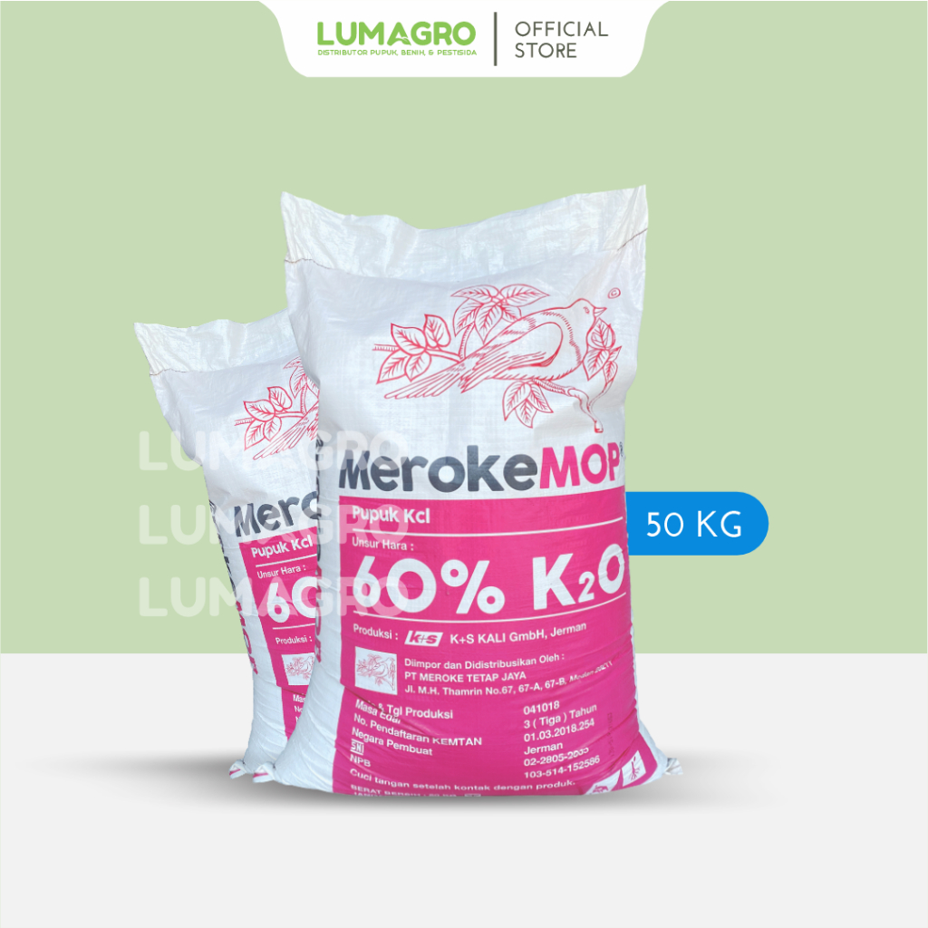 Jual Pupuk KCL Meroke MOP 50kg Nutrisi Menunjang Kualitas Hasil Panen ...