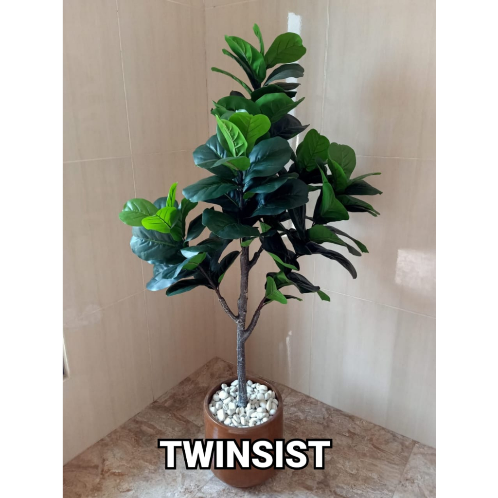 Jual Pohon Ketapang Plastik Artificial Palsu Tinggi 150 cm / Pohon Hias ...