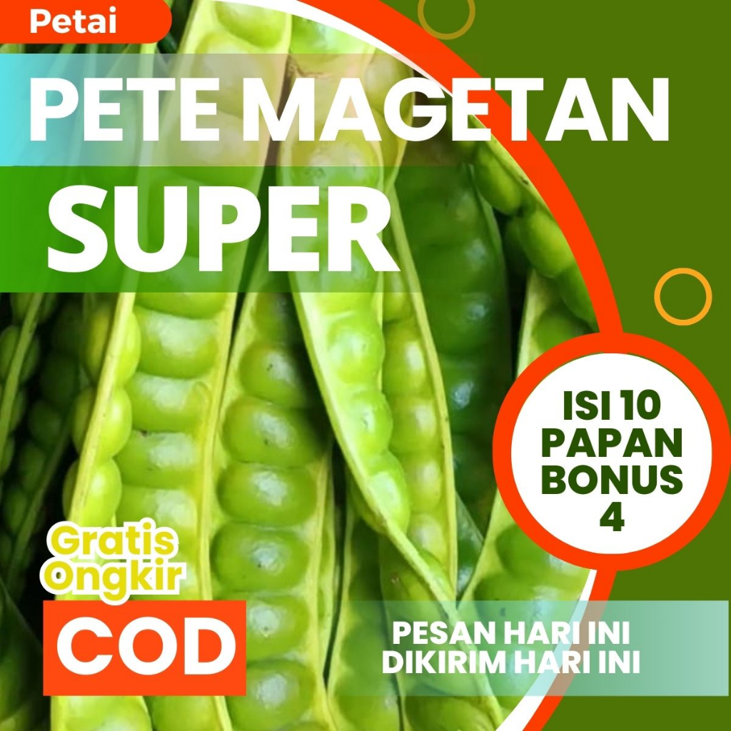 Jual Pete Padi SUPER Isi 10 Papan Bonus 4 | Petai | Shopee Indonesia