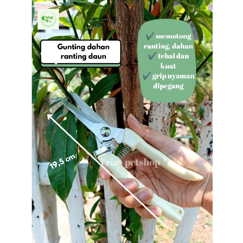 Jual GUNTING DAHAN RANTING TANAMAN/gunting tanaman/gunting dahan ...