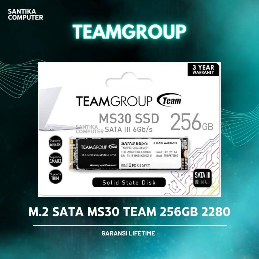Jual TEAM SSD MS30 M.2 / M2 SATA 256GB / 256 GB 2280 TM8PS7256G0C101 | Shopee Indonesia