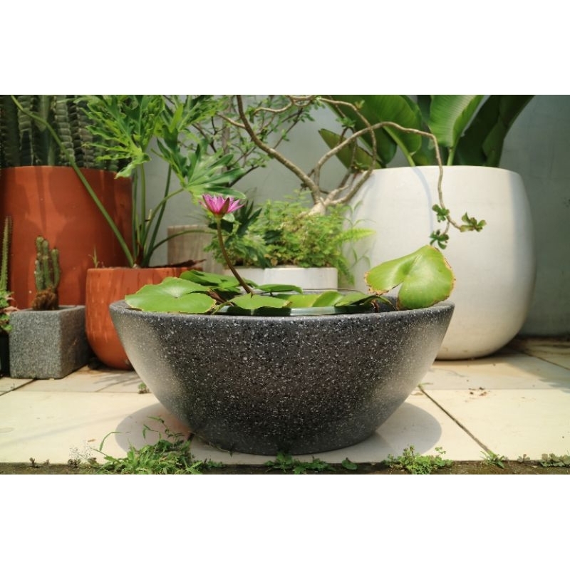 Jual Pot Tanaman Air Terakota 50cm Model Teratai D50T20 | Shopee Indonesia