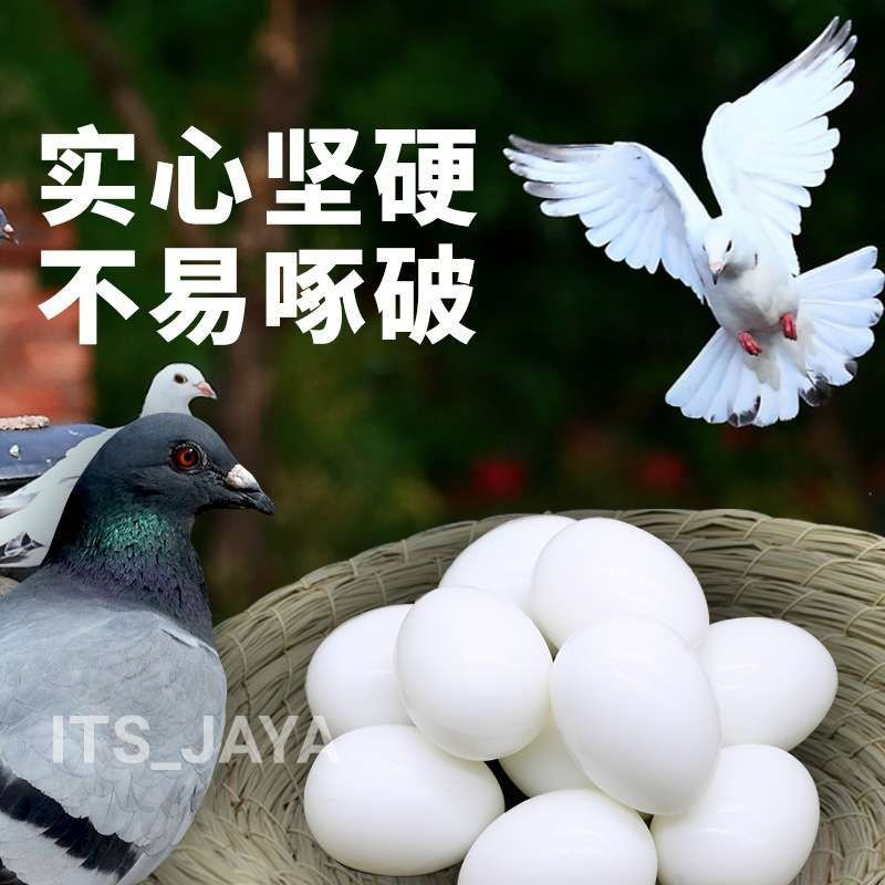 Jual TELUR PALSU MAINAN BURUNG MERPATI TELUR PALSU MERPATI AYAM KATE ...
