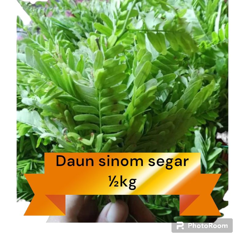 Jual #daun sinom #daun asam jawa # daun asem 500g #jamu #segar | Shopee ...