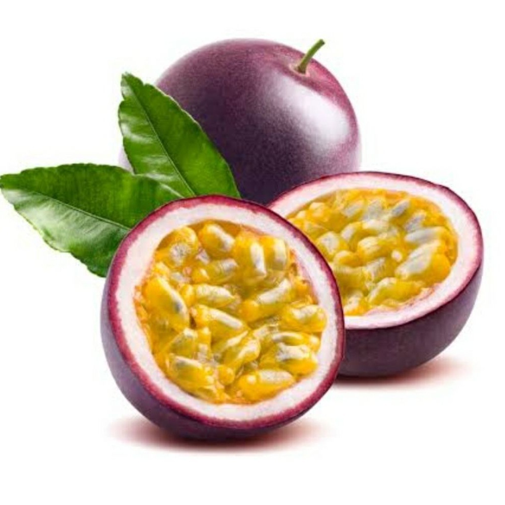 Jual Benih Buah PASSION FRUIT PURPLE / Markisa Ungu Manis | Shopee Indonesia