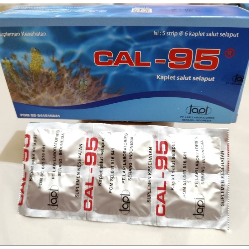 Jual CAL-95 STRIP isi 6 Tablet Cal95 Kalsium Ibu Hamil Menyusui Anak ...