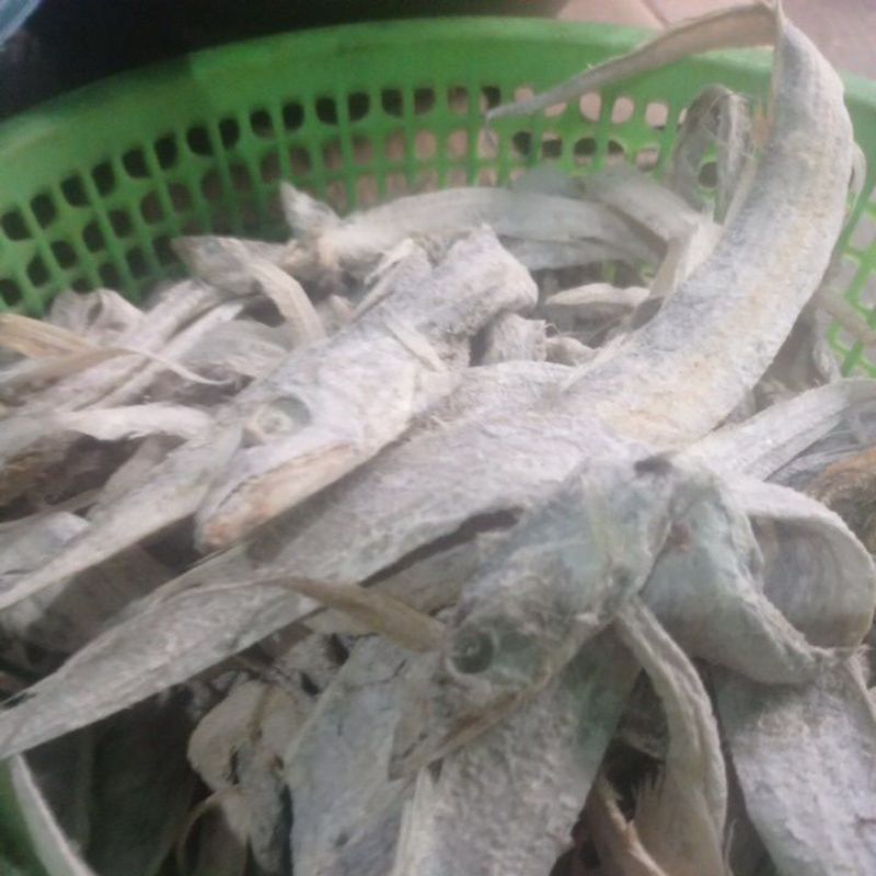 Jual Ikan Asin Murah Harga 5000 Cumi Asin Teri Jengki Peda Merah Bulu ...
