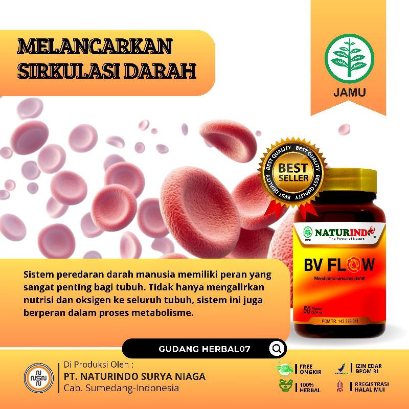 Jual Obat Herbal Melancarkan Peredaran Darah Dengan Gejala Kesemutan ...
