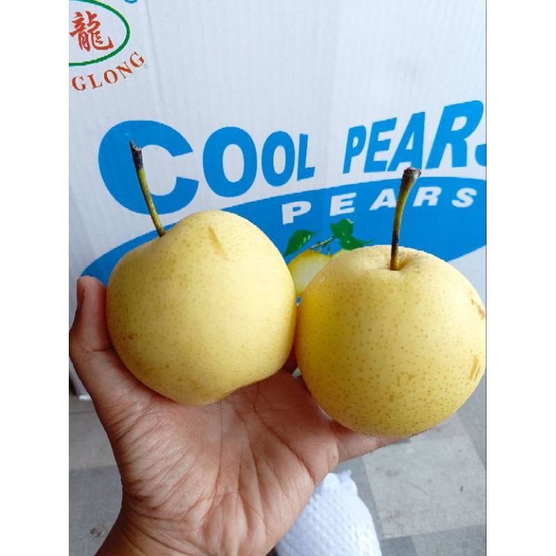 Jual buah pear century 1 kilo | Shopee Indonesia