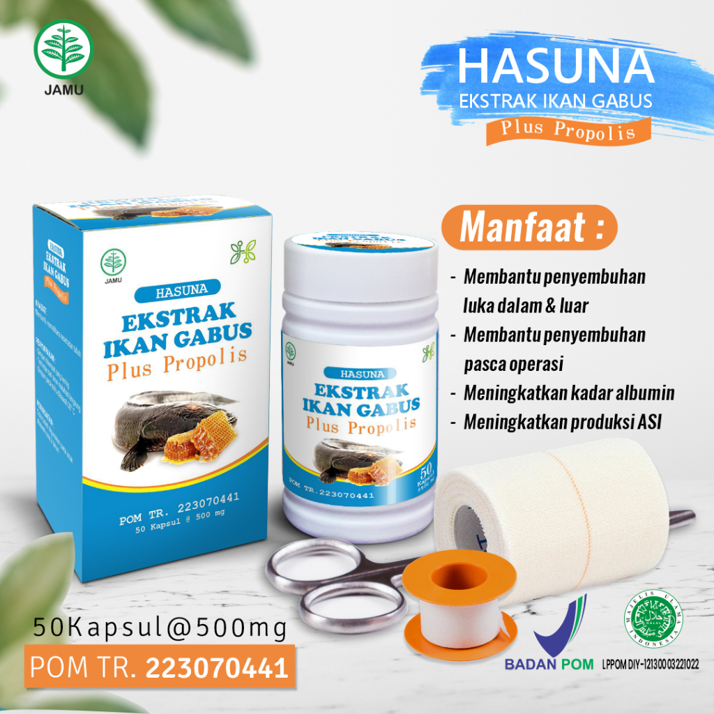 Jual Kapsul ikan gabus kapsul ikan kutuk albumin obat pasca operasi Hasuna | Shopee Indonesia