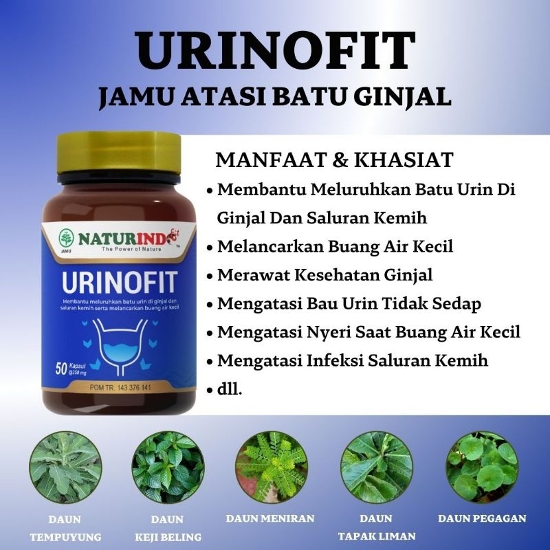 Jual Herbal Peluruh Batu Ginjal Serta Melancarkan Buang Air Kecil ...