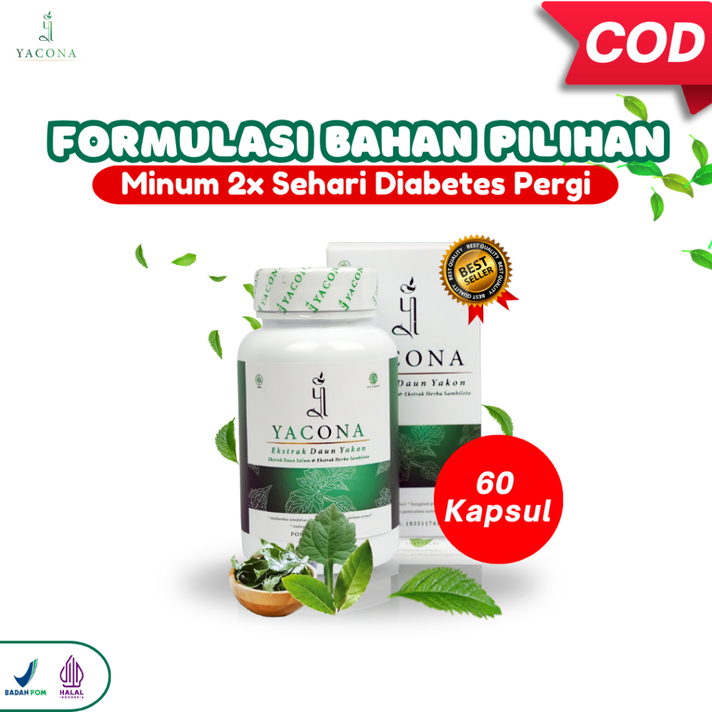 Jual Yacona Obat Herbal Diabetes Alami - Ekstrak Daun Yakon Bantu ...